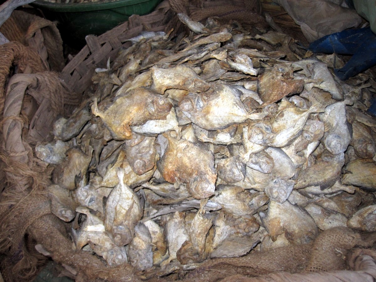 Mangalore Mangalore: Mangalore Dry Fish Market